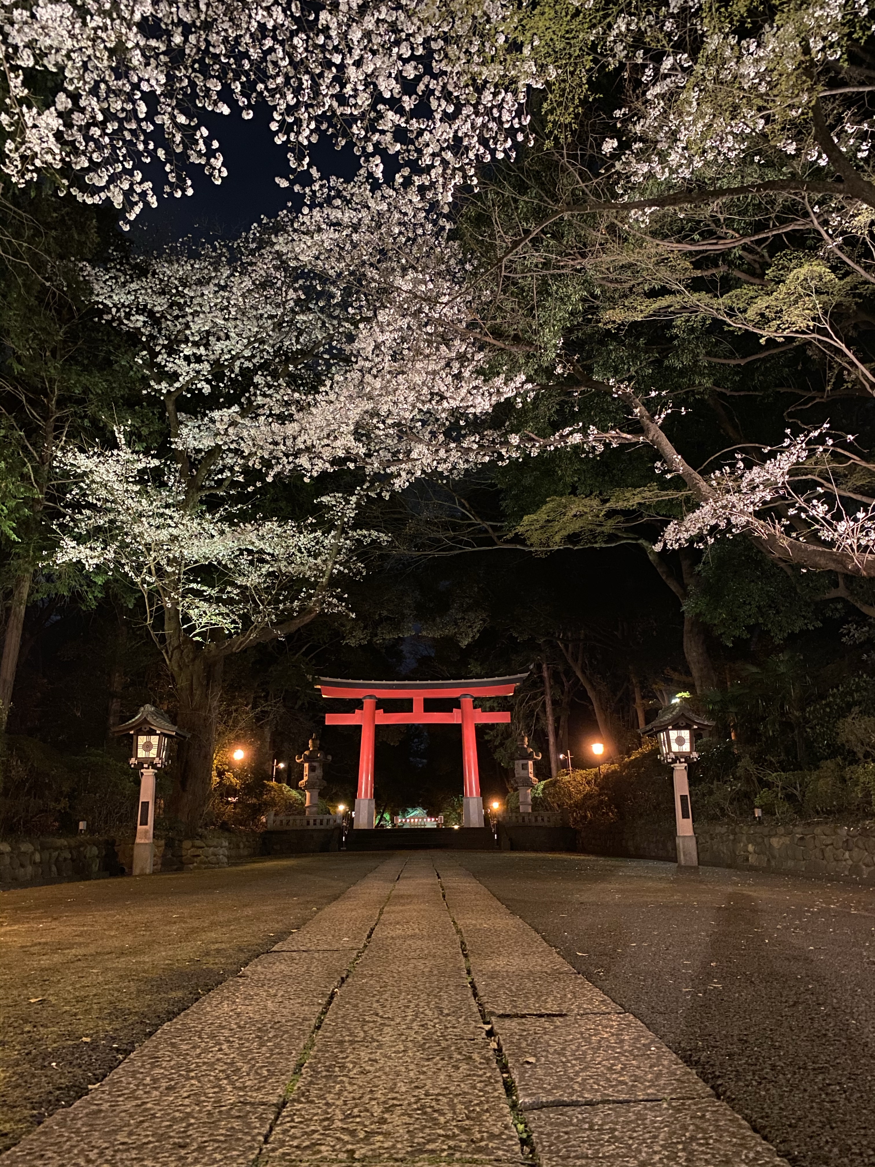 Img 3604 Atadistance